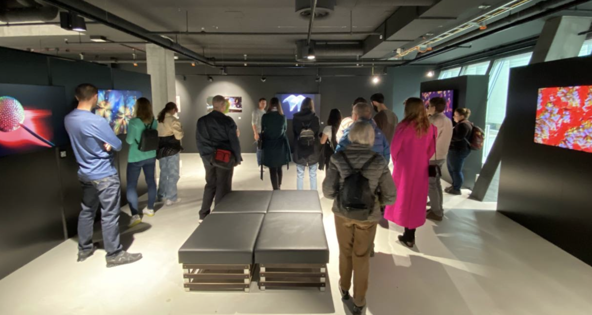 Guided tour through the exhibition | elementum.art